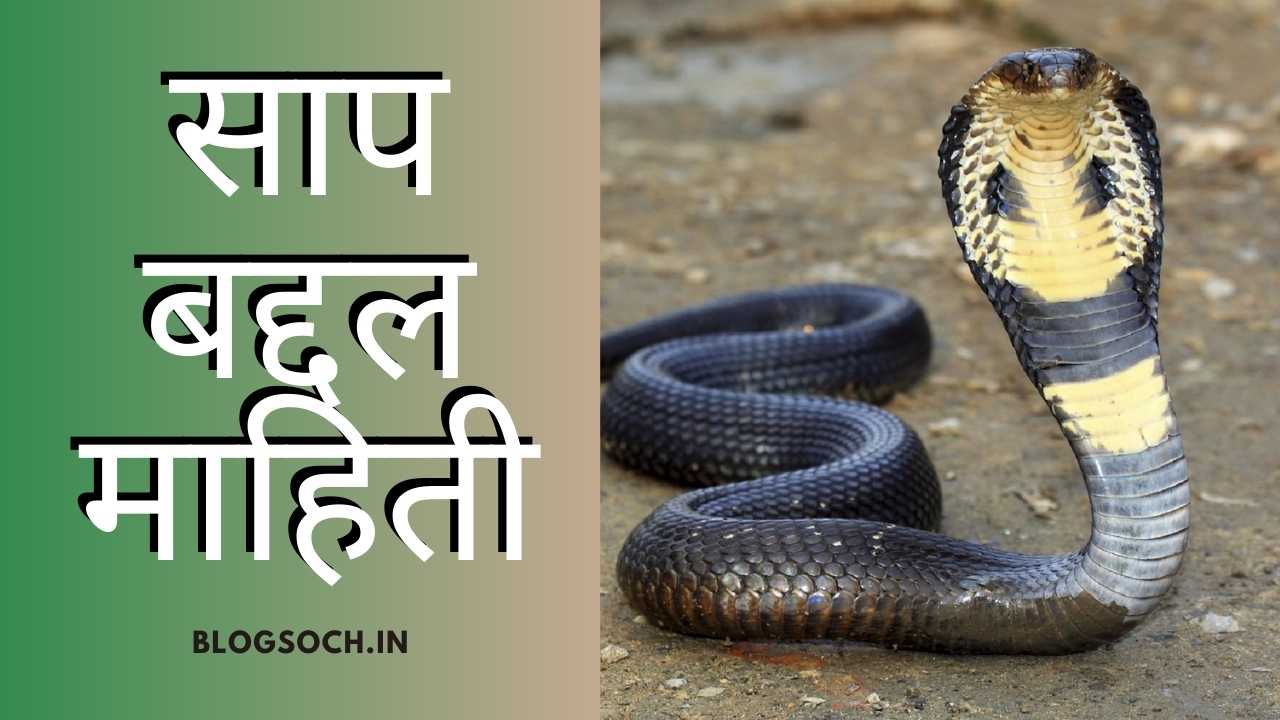 Snake Information in Marathi | 3000 Words Essay | Blogsoch